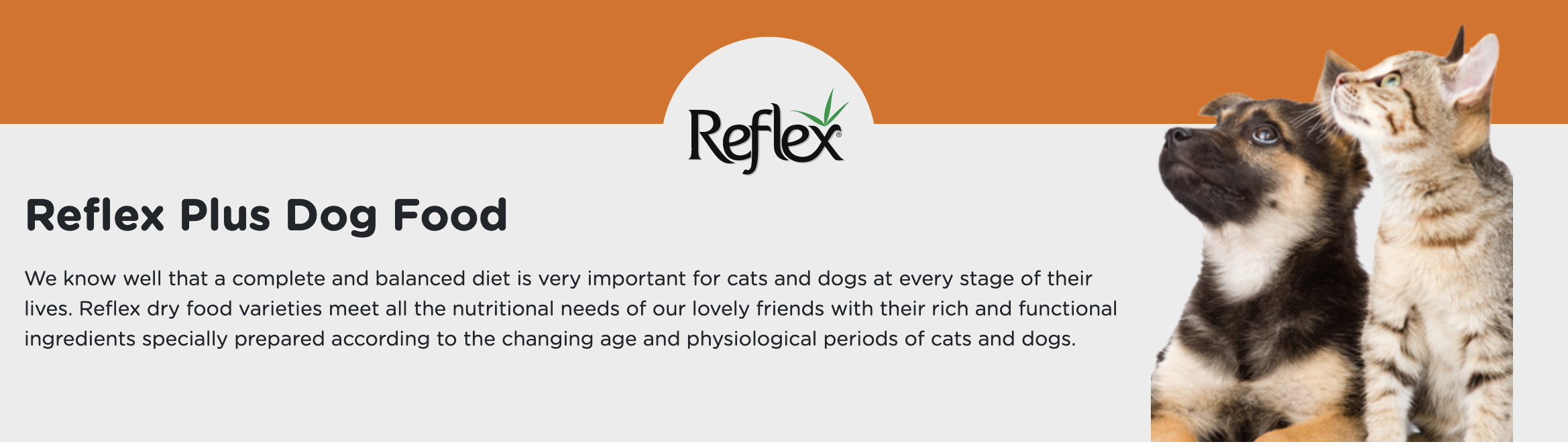 Amazon.co.uk: Reflex Plus: Dog Food