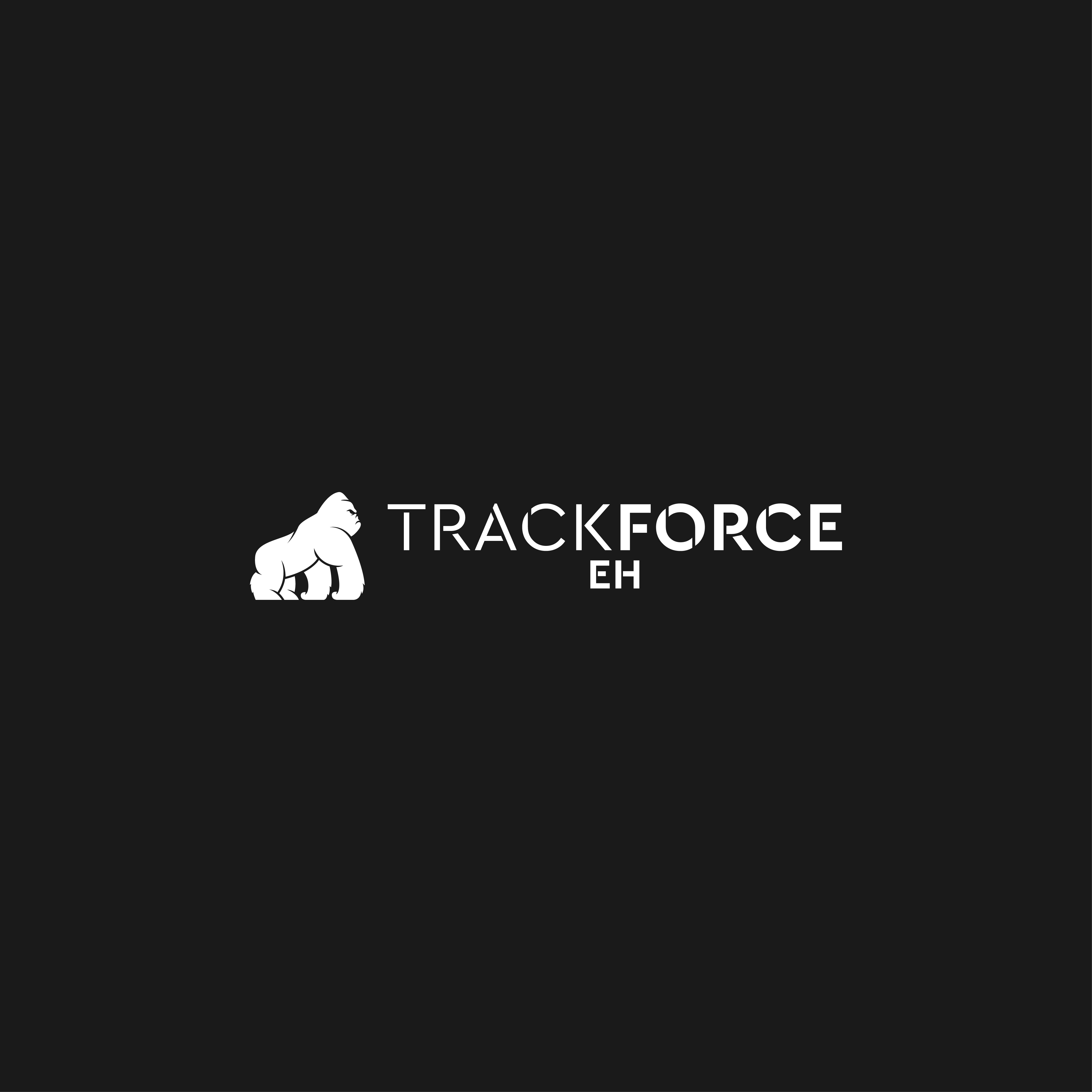 Amazon.de: TRACKFORCE EH: Komplett-Sets