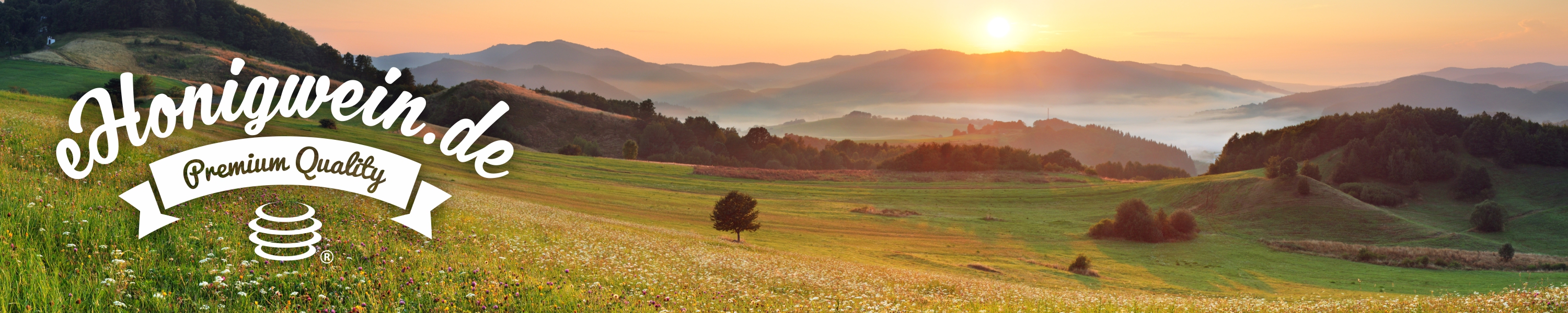 Amazon.de: eHonigwein Premium Quality: Likör