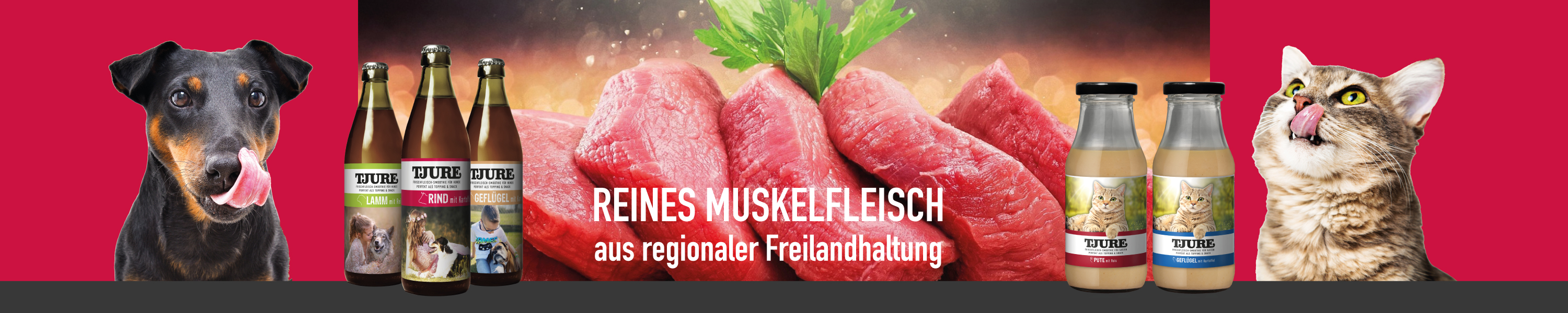 Amazon.de: TJURE - Der Fleisch-Smoothie für Hunde & Katzen