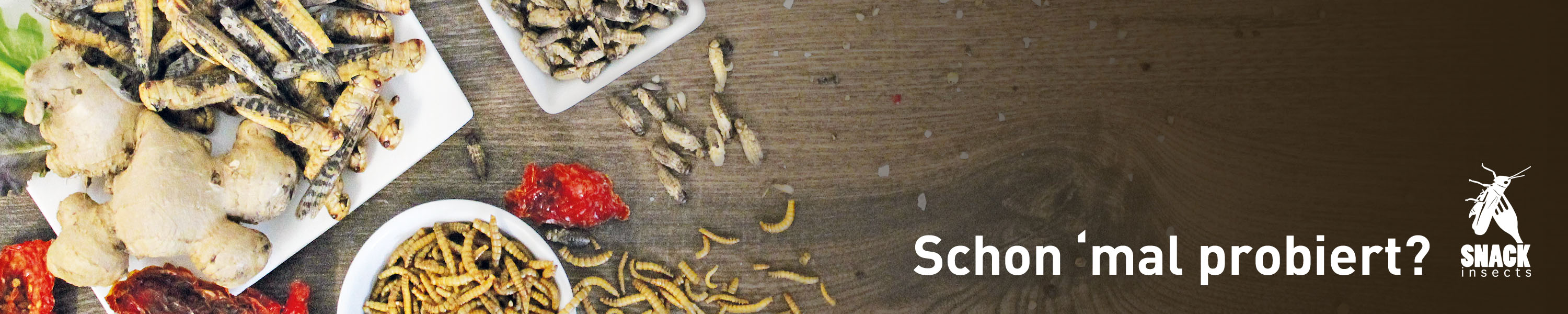 Amazon.de: SNACK insects - essbare Insekten & Insektensnacks - seit 2013