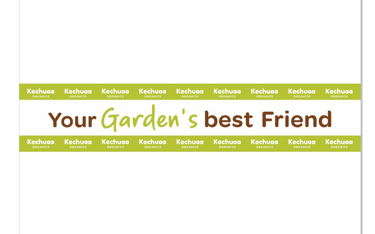 Amazon.in: Kechuaa Organics