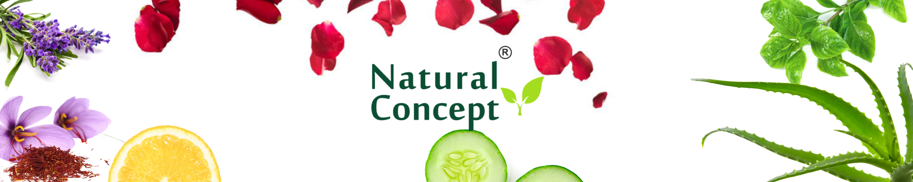 Amazon.in: Natural Concept