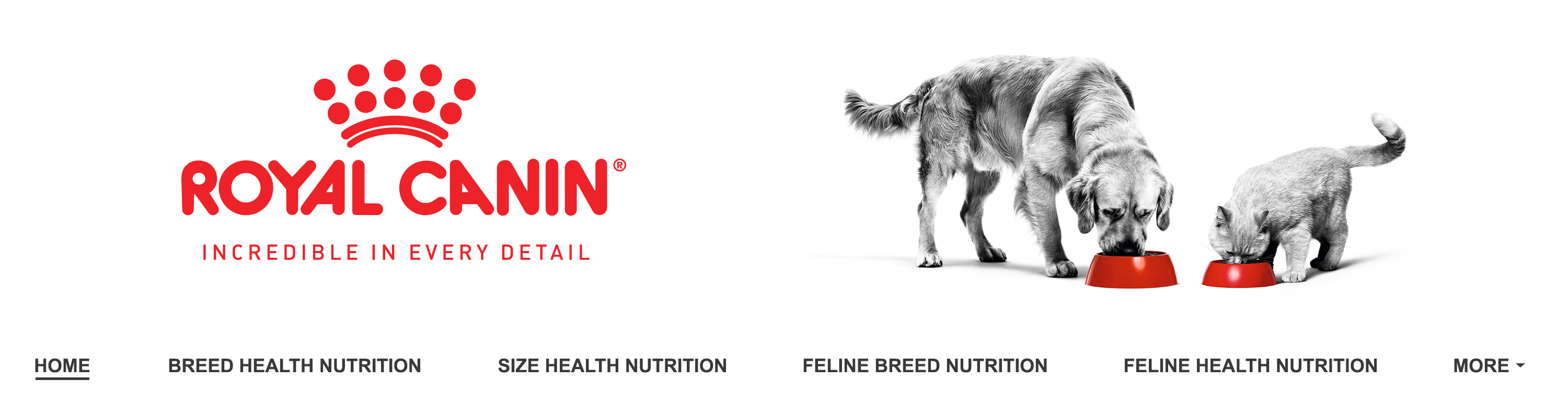 Amazon.in: Royal Canin