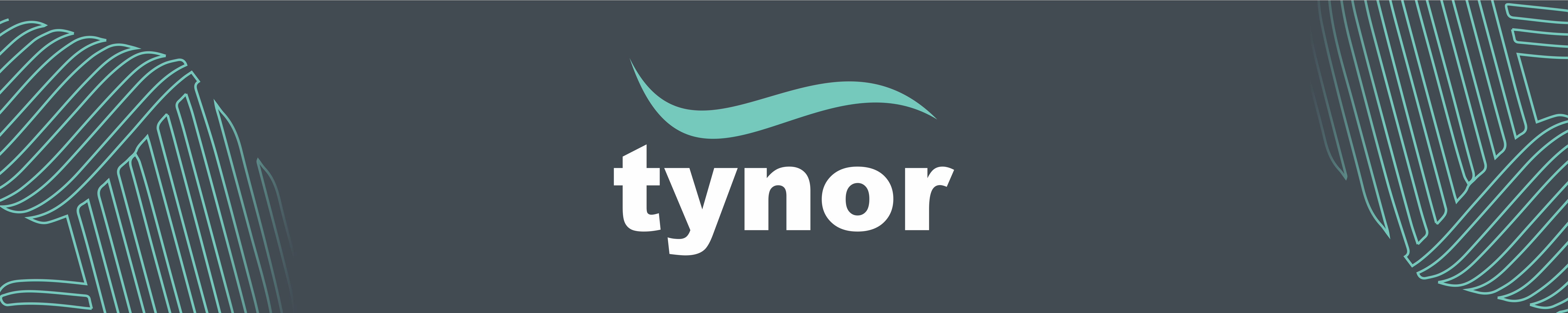 Amazon.in: Tynor: Back brace