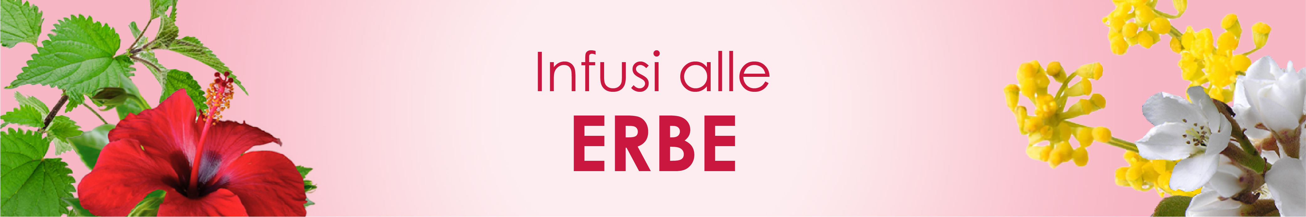 Amazon.it: Pompadour: Infusi alle erbe