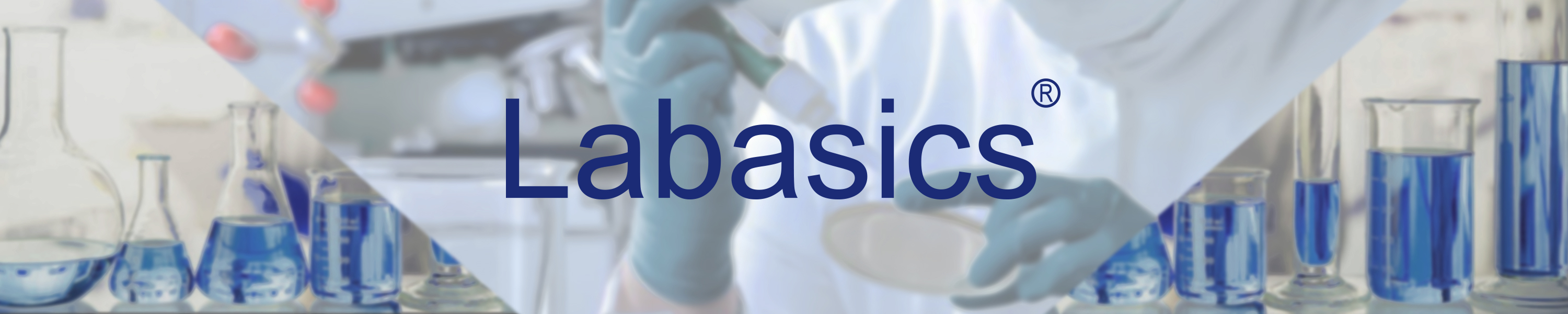 Amazon.fr: Labasics: Electrochimique