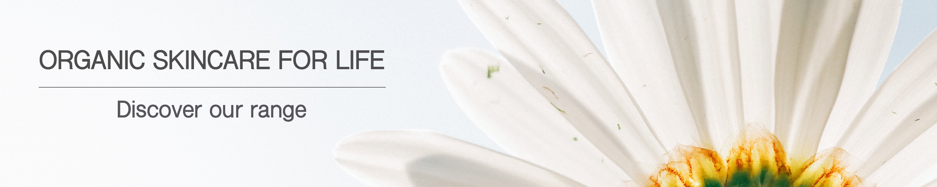 Amazon.co.uk: Lulu & Boo Organics: Skincare