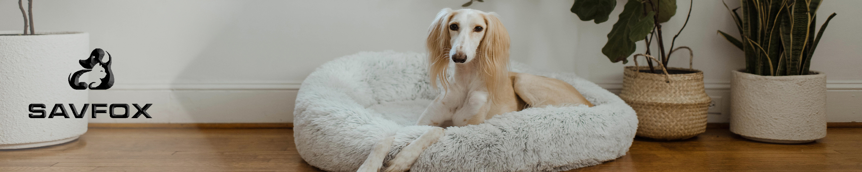 Amazon.co.uk: SAVFOX