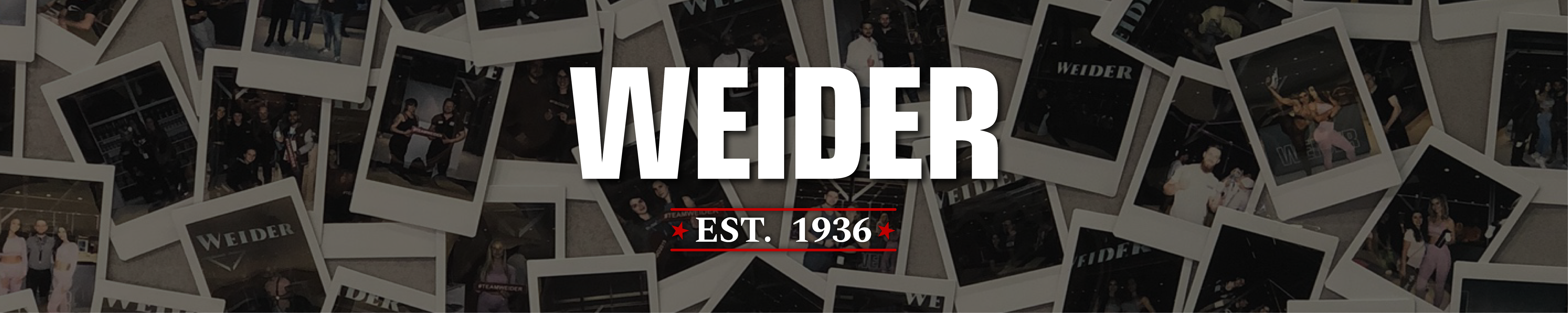 Amazon.co.uk: Weider: PROTEIN