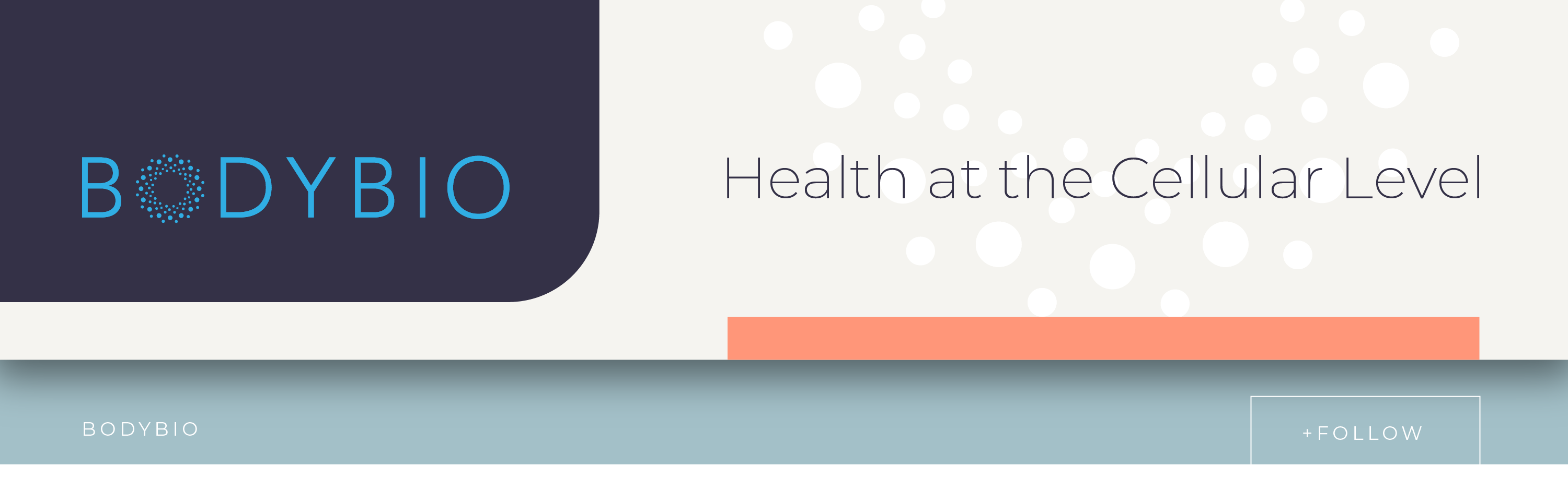 Amazon.co.uk: BodyBio: Gut Health