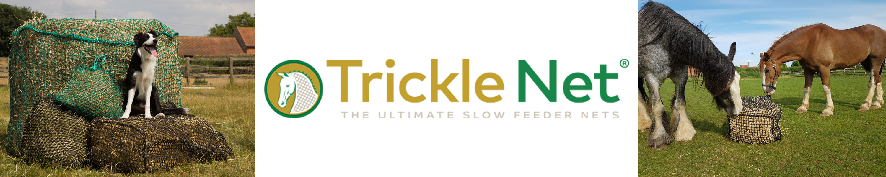 Amazon.co.uk: Trickle Net: FAQs