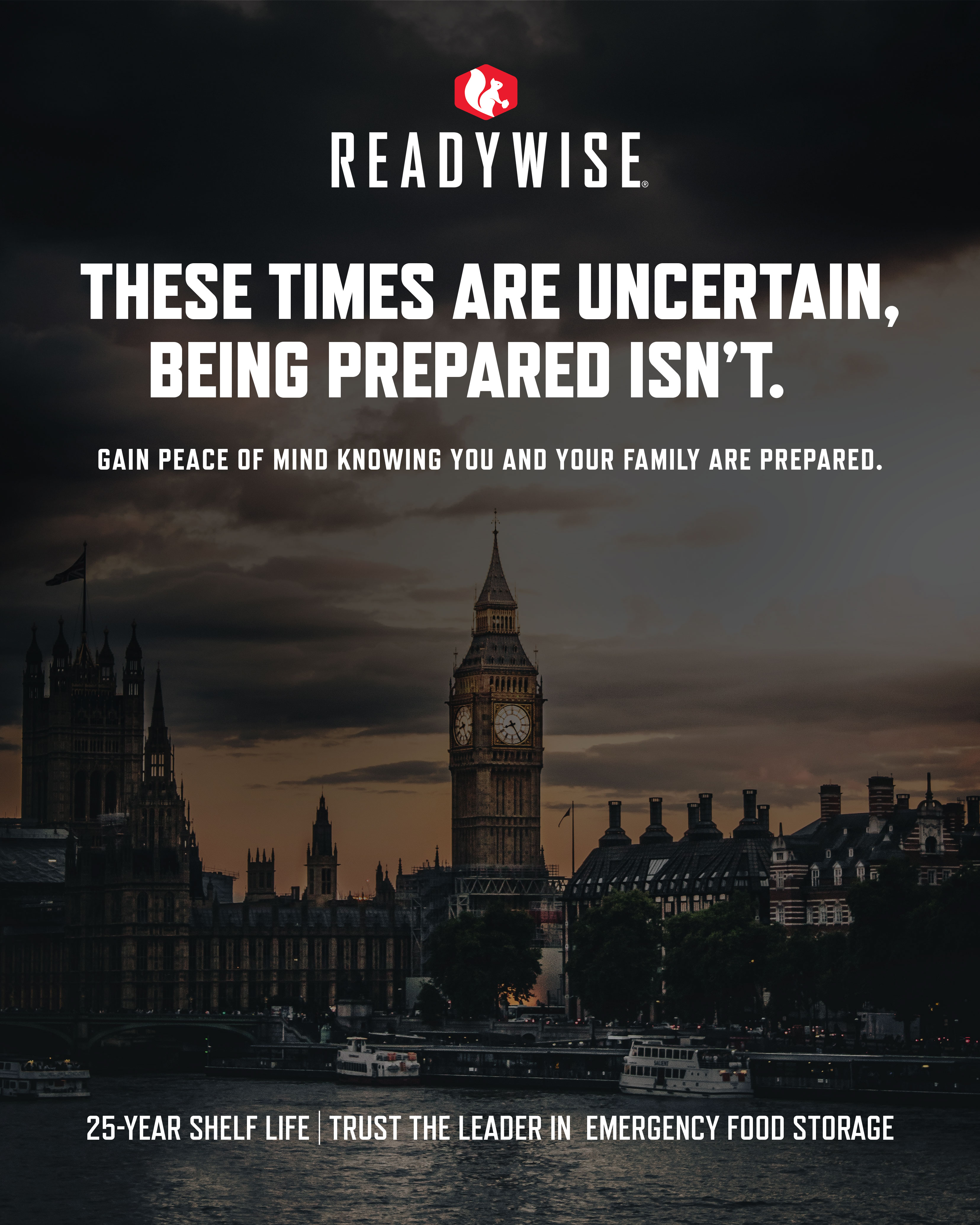Amazon.co.uk: ReadyWise