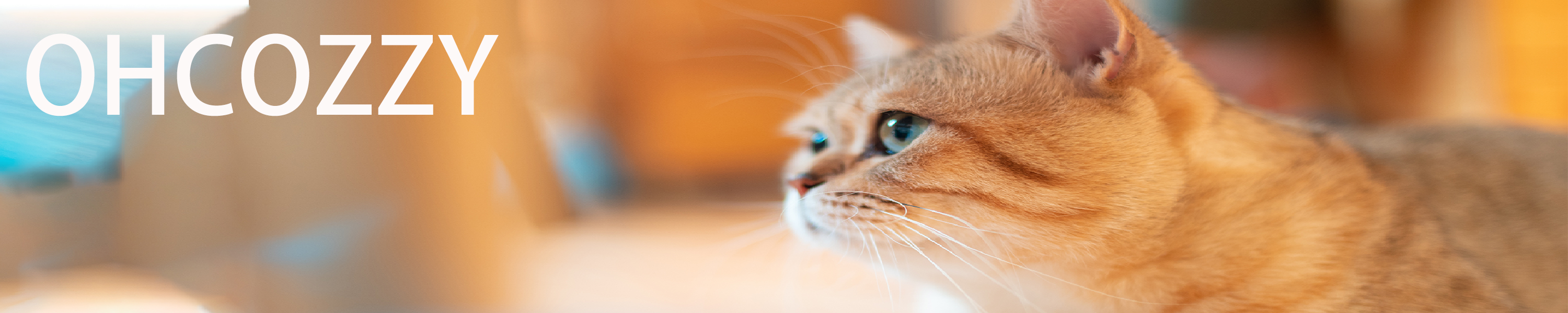 Amazon.co.uk: OHCOZZY: CAT CONE & CAT MUZZLE