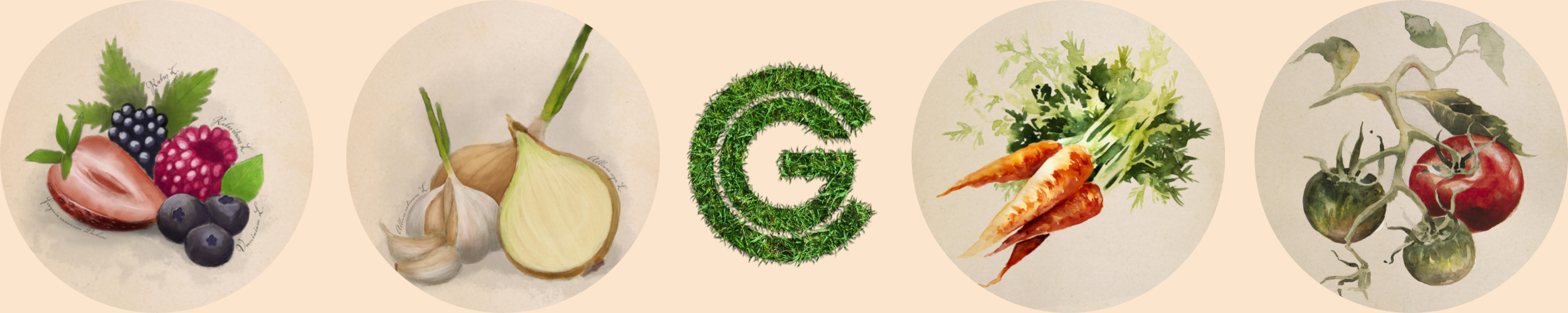 Amazon.co.uk: Geocover: WHITE PLANT COVER