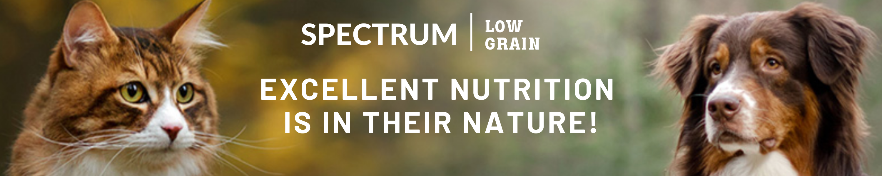 Amazon.co.uk: SPECTRUM - DOG & CAT FOOD: Cat Food