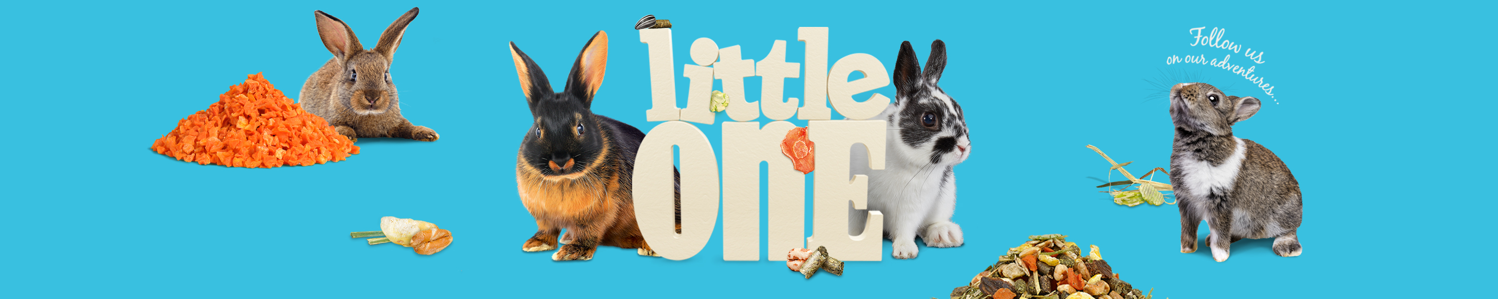 Amazon.co.uk: Little One: For Rabbits