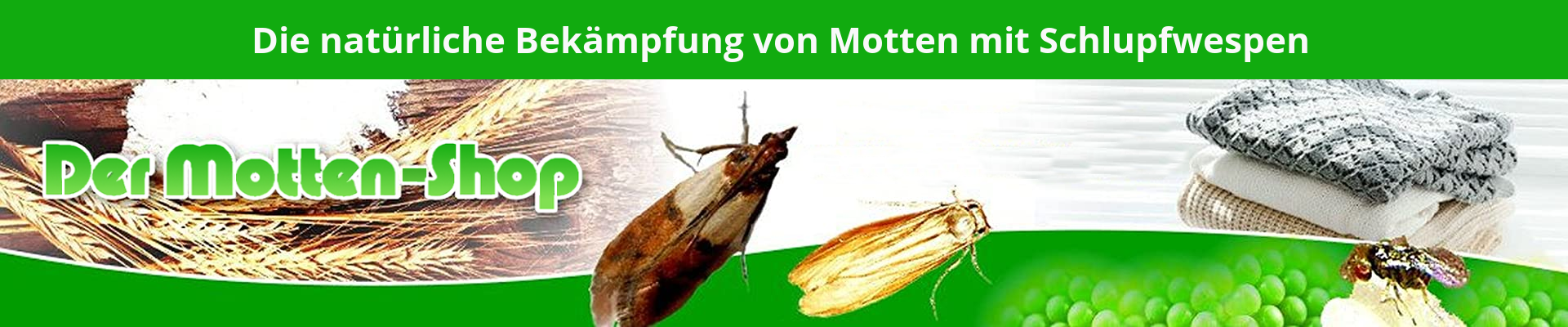 Amazon.de: Der Motten-Shop: Über uns