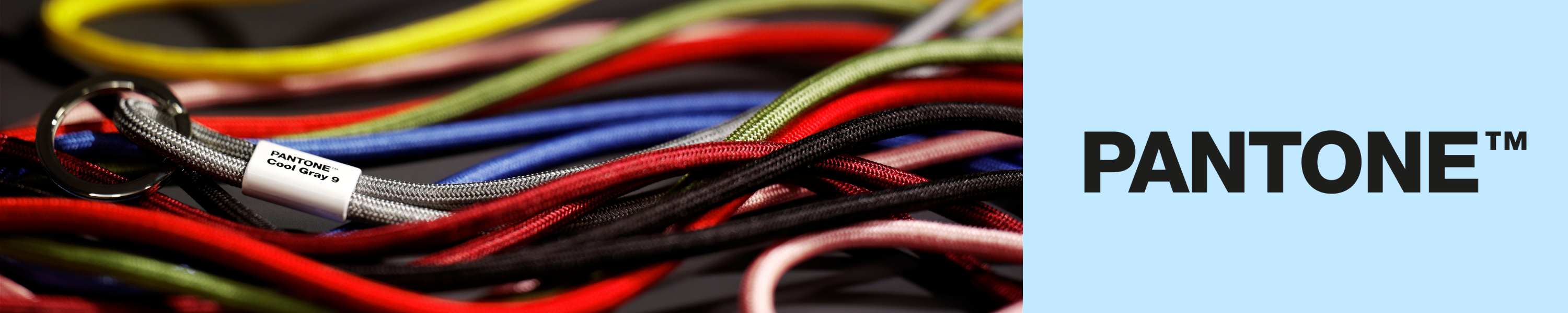 Amazon.de: Pantone: Key Chain