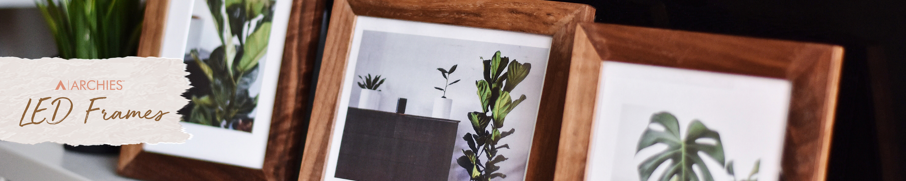 Amazon.in: Archies Gallery: Light Frames