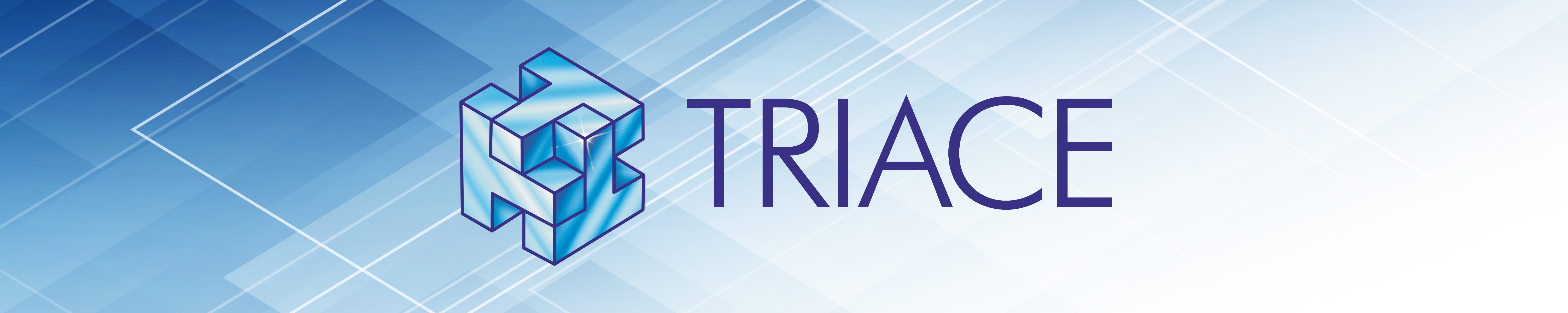 Amazon.in: Triace: Smart Case