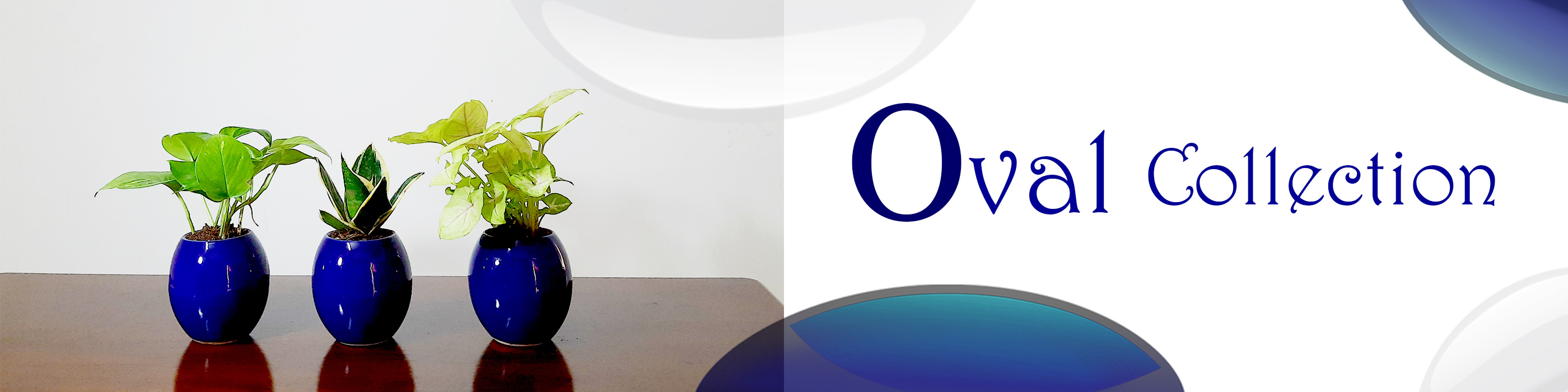 Amazon.in: Rolling Nature: Oval Collection