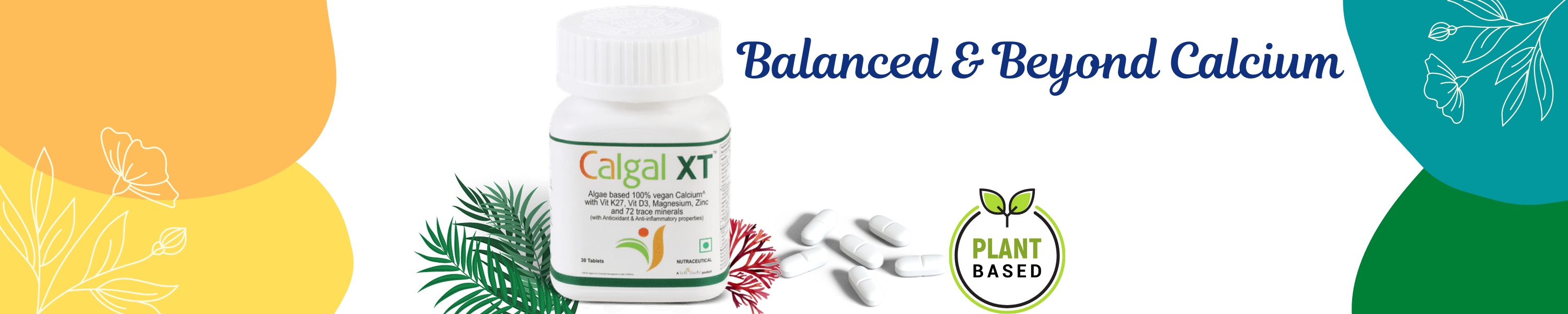 Amazon.in: Voll Santé: Calgal XT