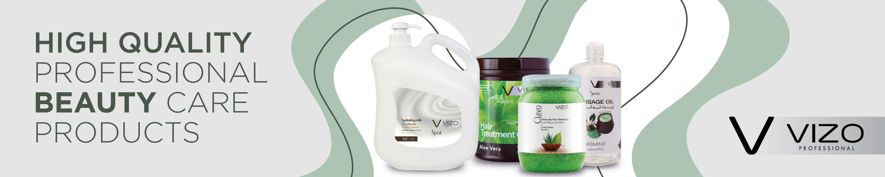 Amazon.ae: VIZO