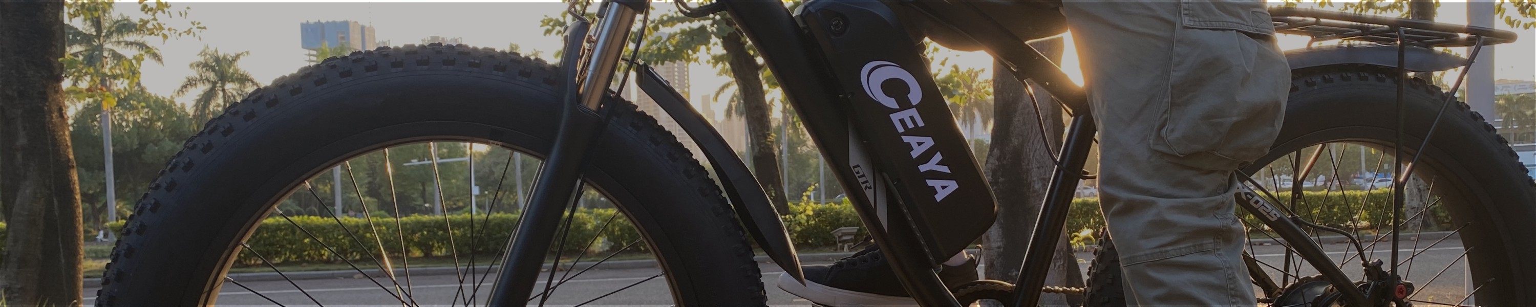 Amazon.co.uk: CEAYA : CEAYA Brand