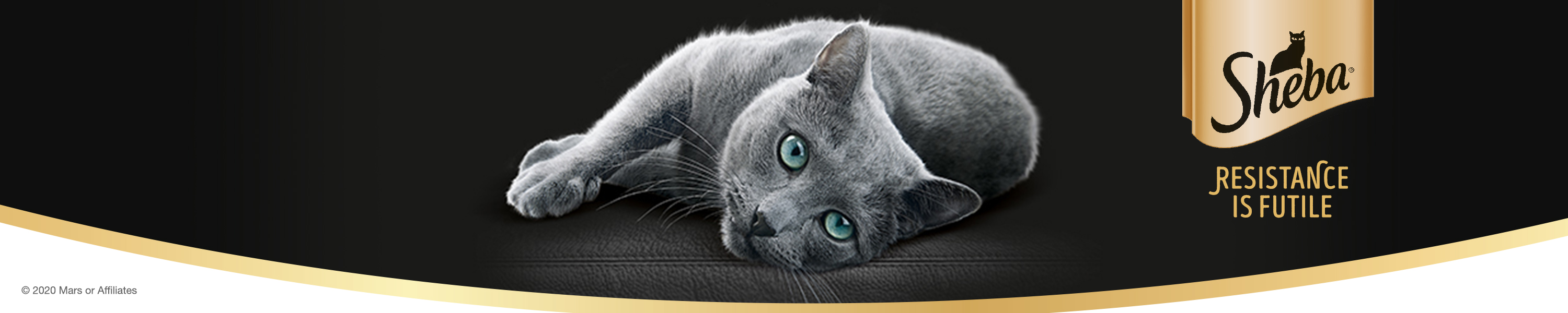 Amazon.co.uk: Sheba: Trays