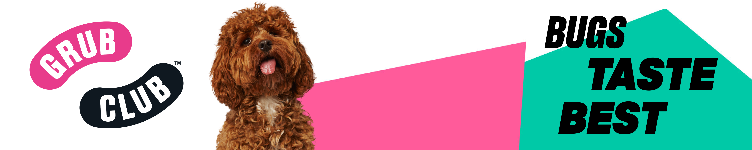 Amazon.co.uk: Grub Club Pets: DOG FOOD