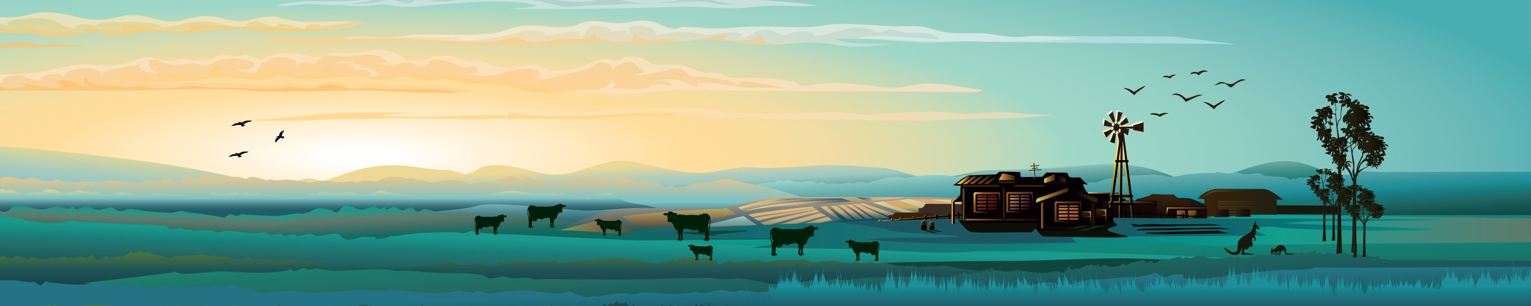 Amazon.de: Australian Bone Broth Co