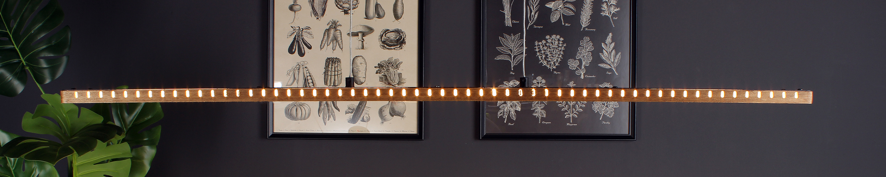 Amazon.de: LEUCHTE.STORE: Interior