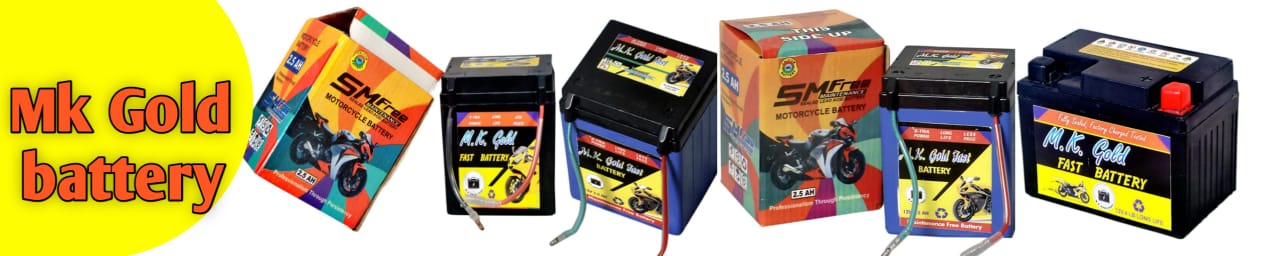Amazon.in: MK GOLD BATTERY