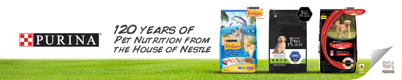 Amazon.in: The pet care hub: Purina