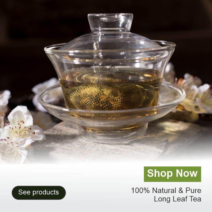 Amazon.in: Chaiology