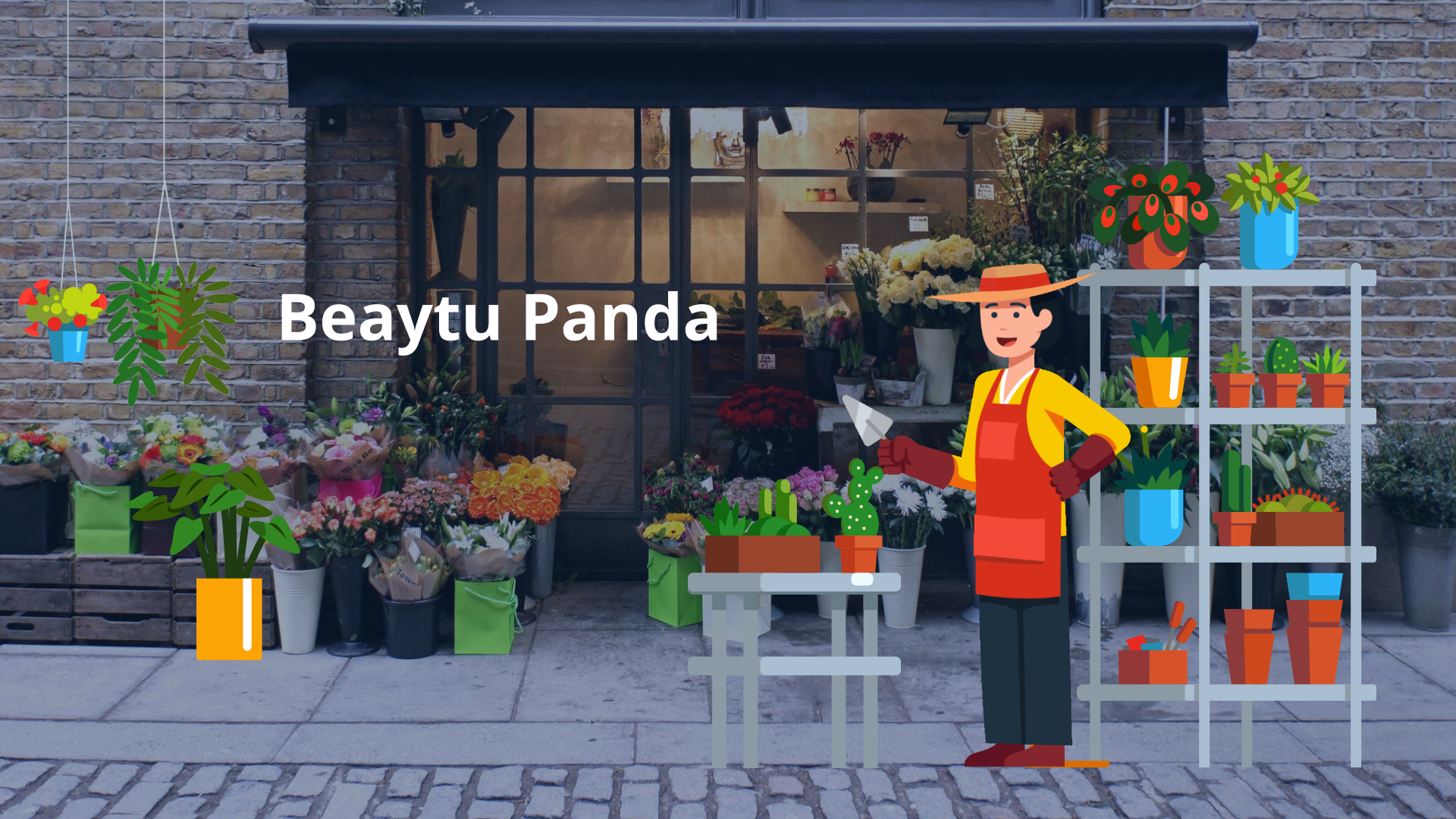 Amazon.in: Beauty Panda: Kitchen rack