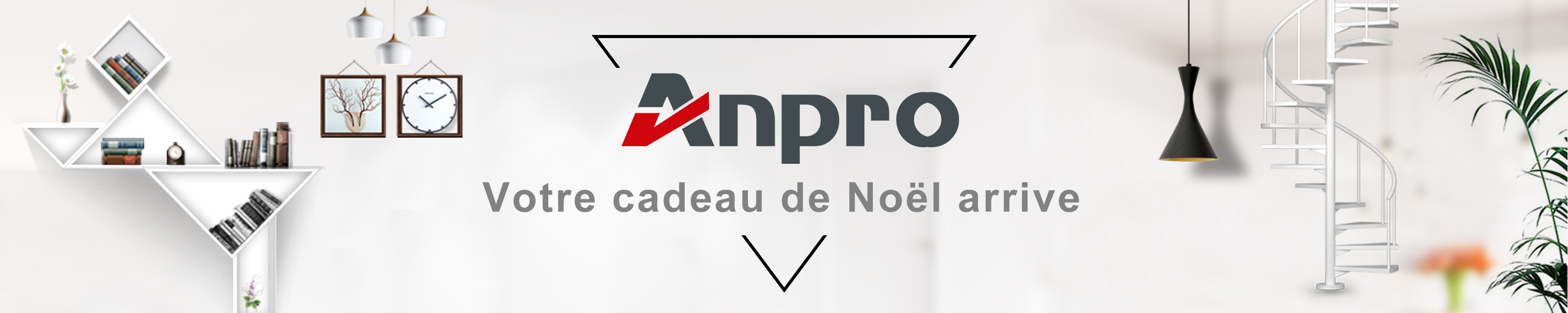 Amazon.fr: Anpro: Anpro