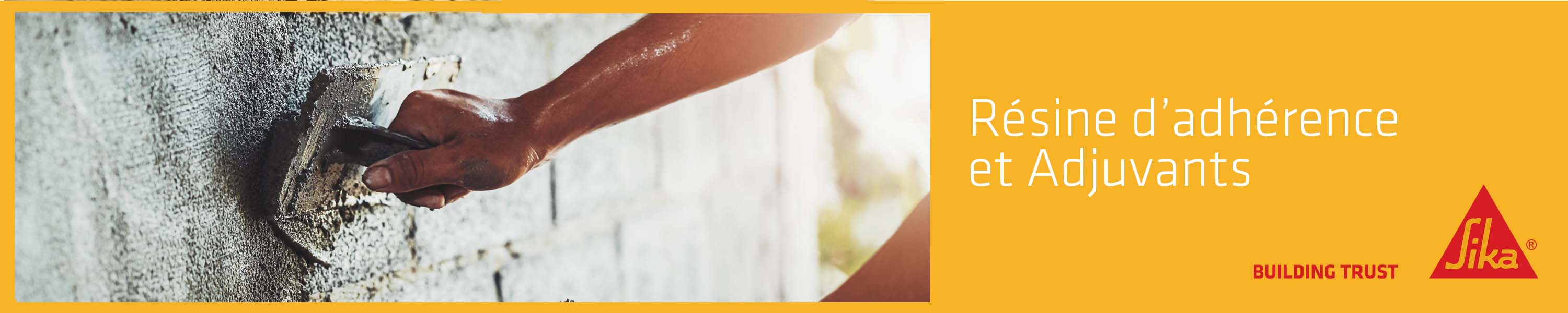 Amazon.fr: SIKA FRANCE S.A.S: Résine d'adhérence et adjuvants