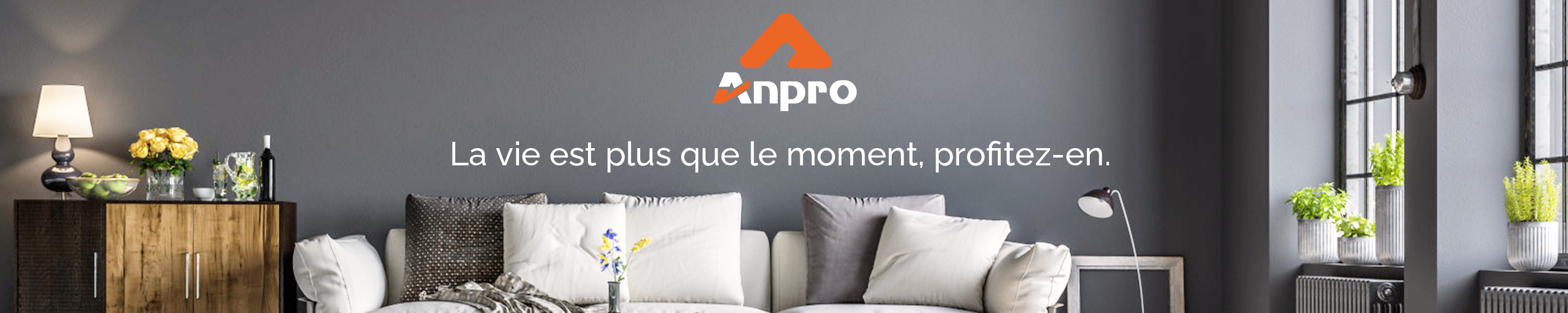 Amazon.fr: Anpro