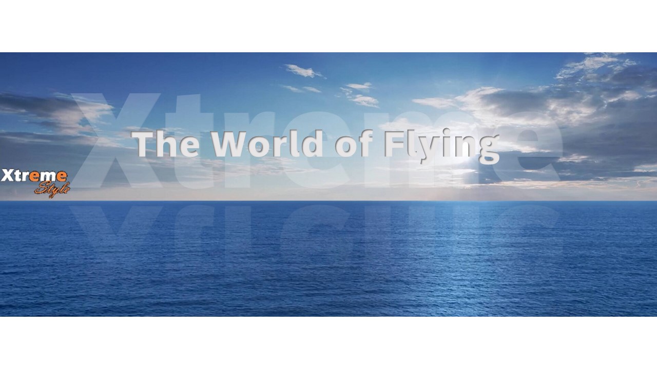 Amazon.fr: Xtreme Style: Drones