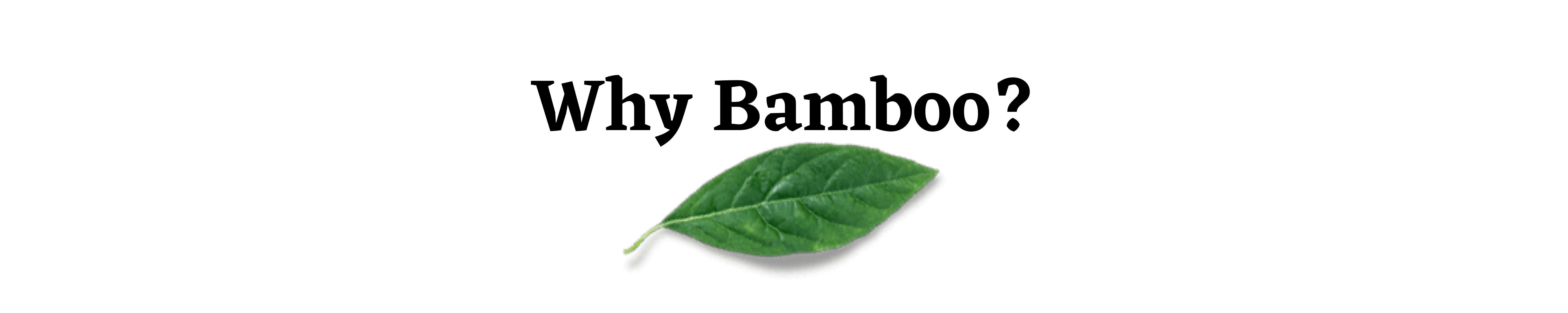 Amazon.co.uk: Woody Paper LTD: Why Bamboo
