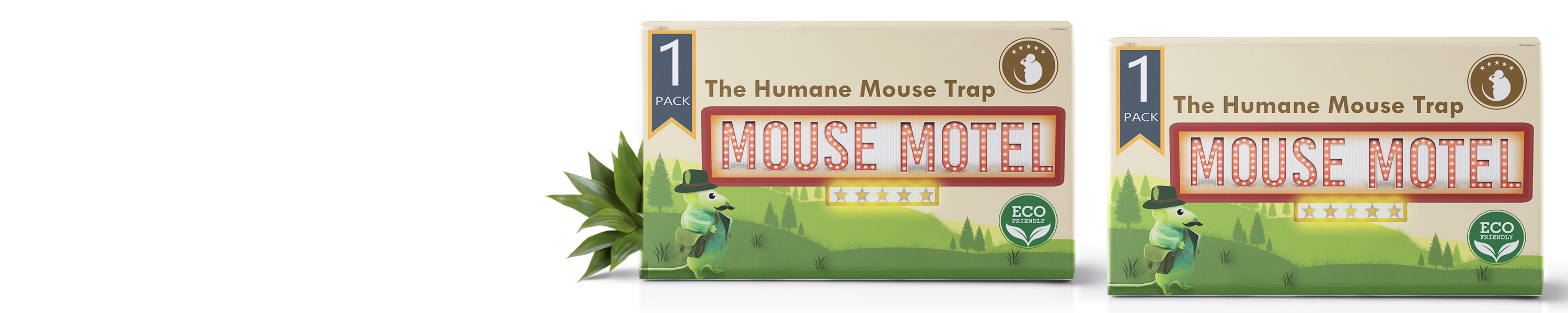 Amazon.co.uk: Motel Mouse