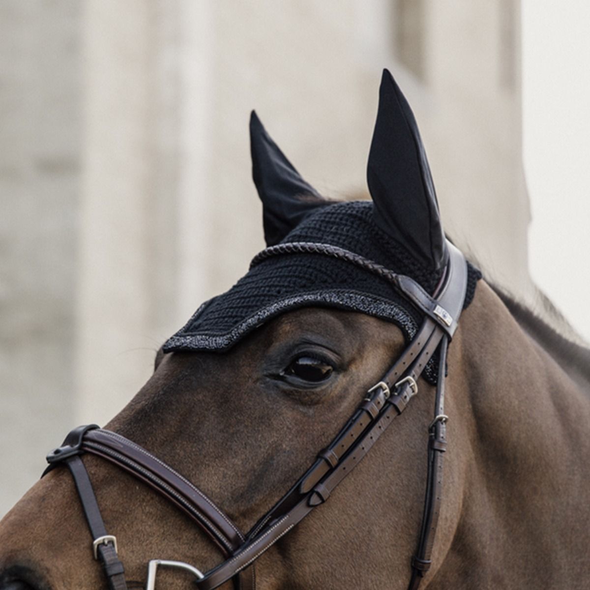 Amazon.co.uk: Tosoni Selleria Horses: Caps