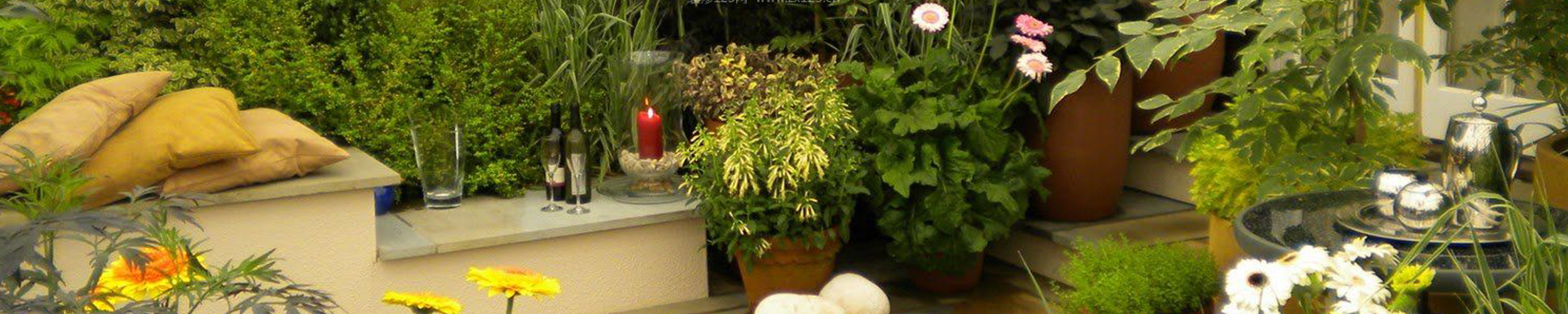 Amazon.co.uk: Hydrogarden: Garden Hose Fittings