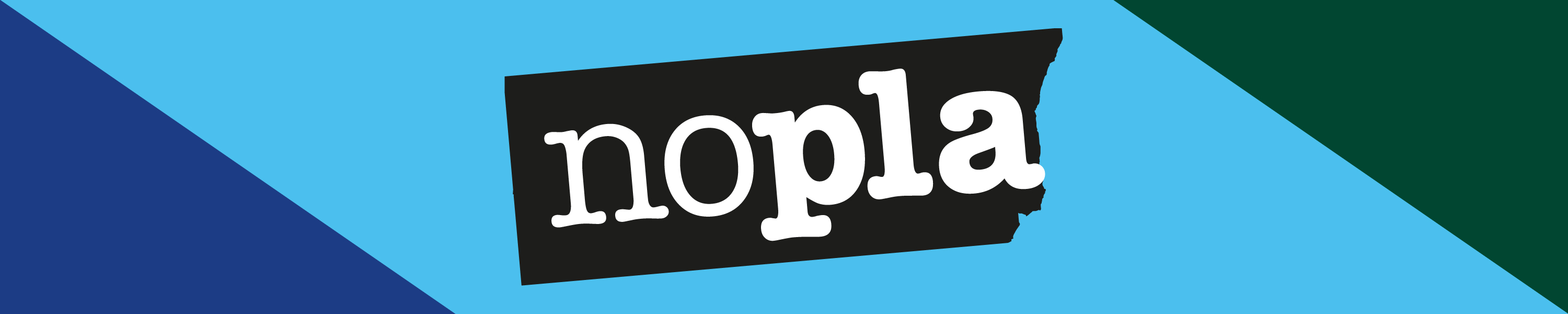 Amazon.co.uk: Nopla: Peppermint Gum