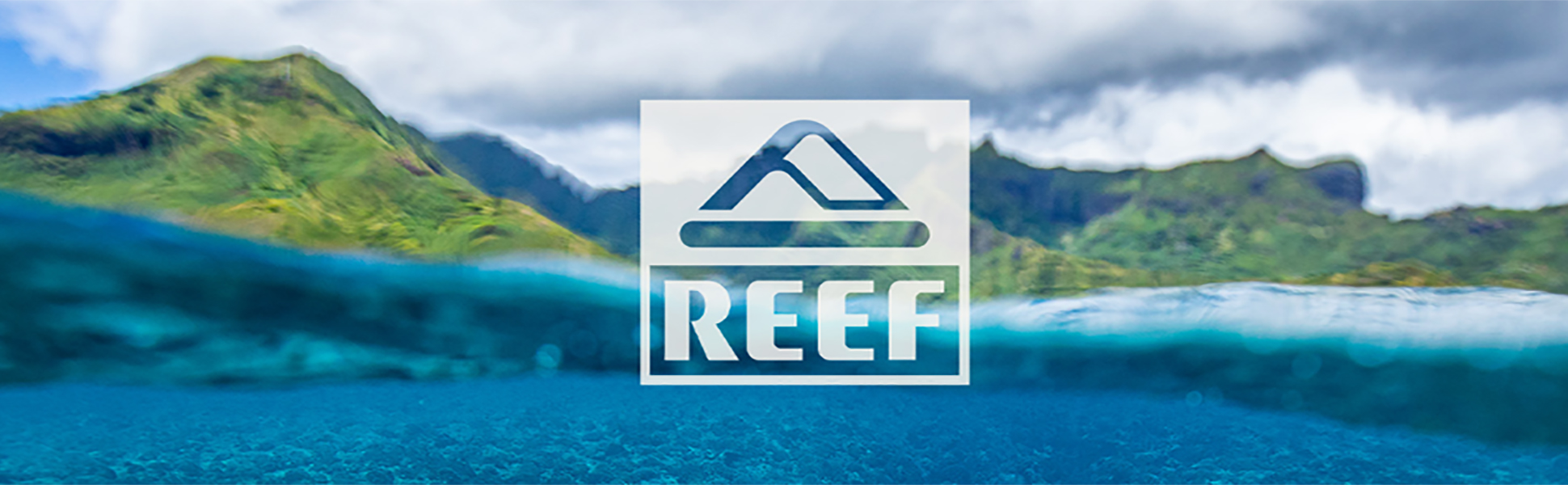 Amazon.de: REEF