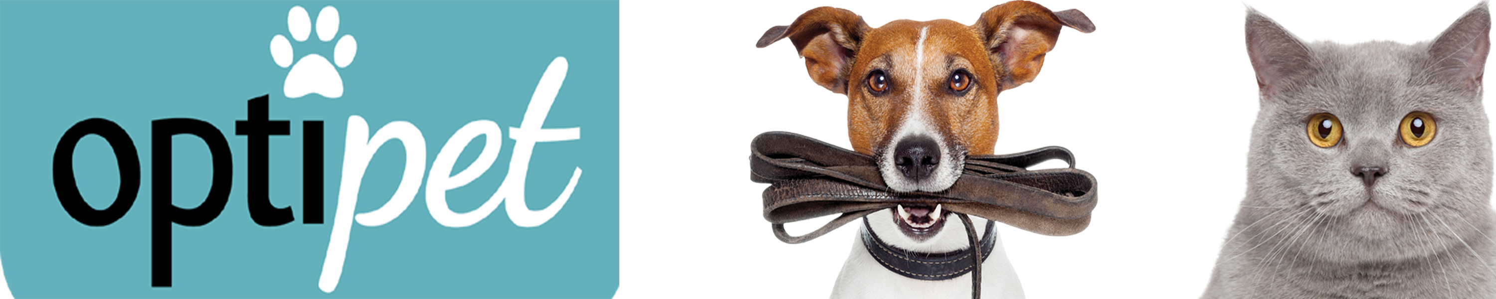 Amazon.de: OptiPet: Insektenbekämpfung