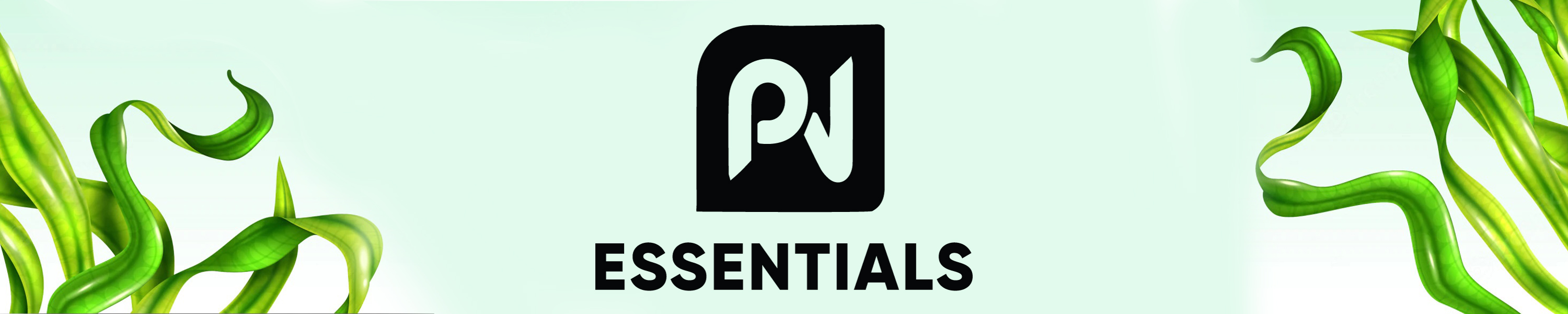 Amazon.in: PN Essentials: Stevia Dry Leaves