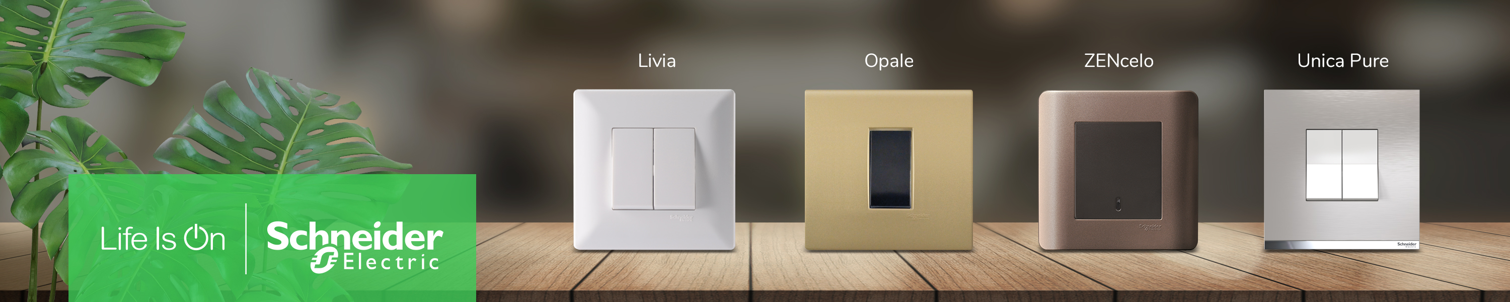 Amazon.in: Schneider Electric: Switches & Sockets